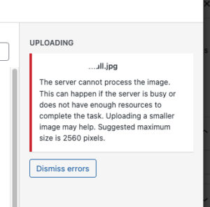Hostinger Error: The server cannot process the image. This can happen if the server is busy or ...